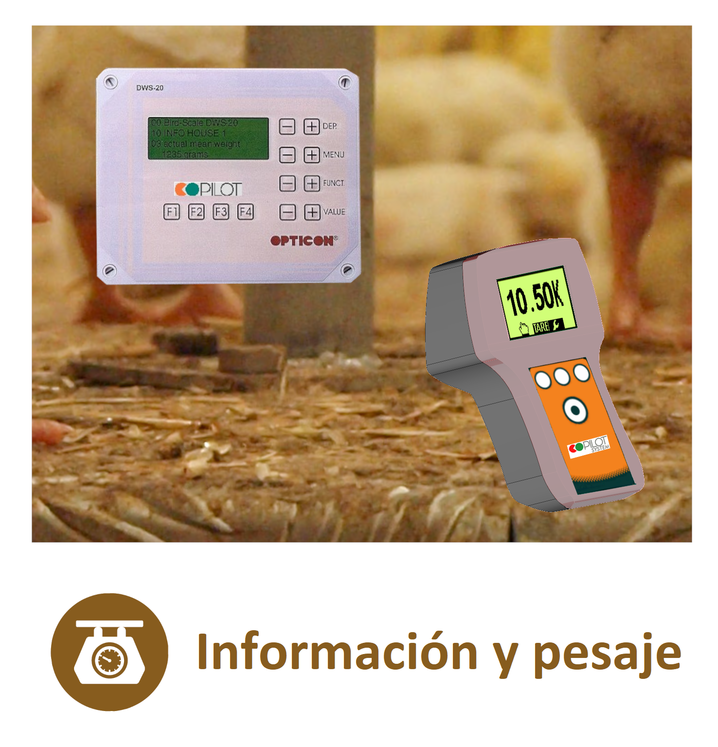 Copilot System - Copilot System